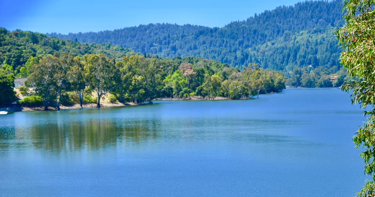 Los Gatos City Guide