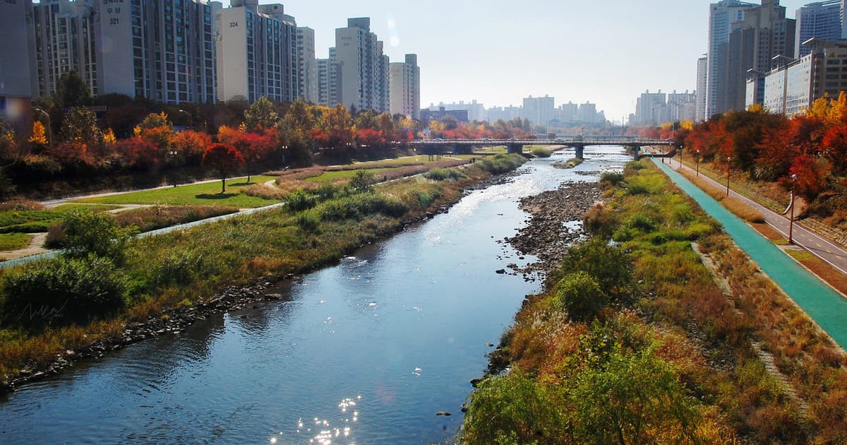 Seongnam City Guide