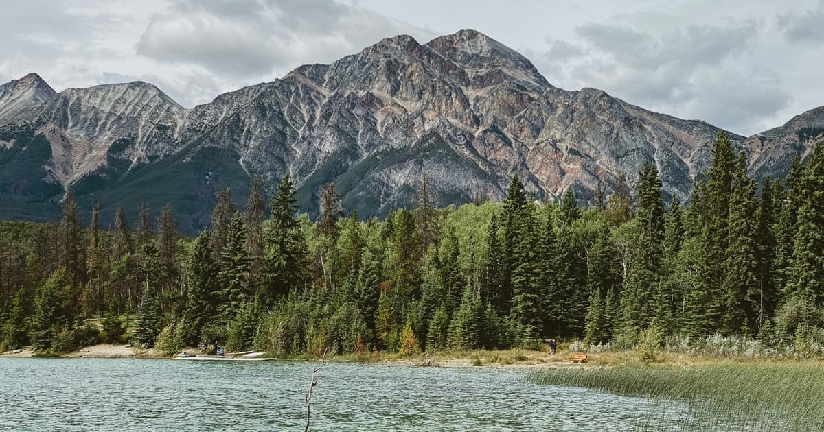Jasper City Guide