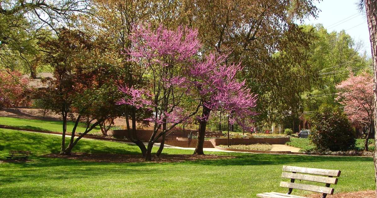 Rock Hill City Guide