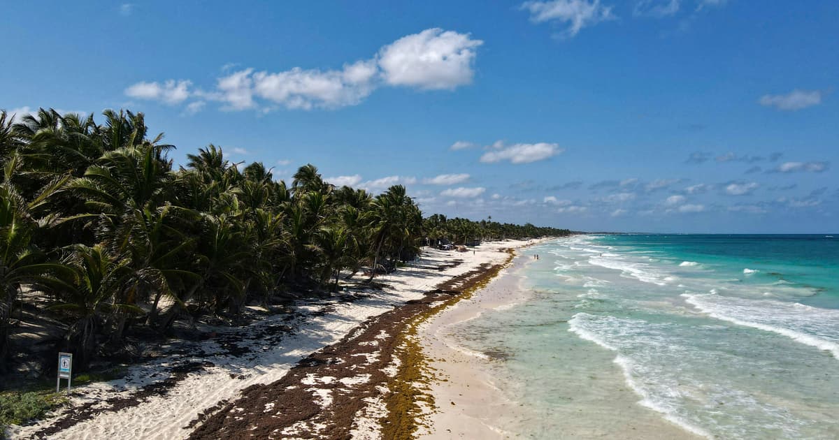 Tulum for Digital Nomads