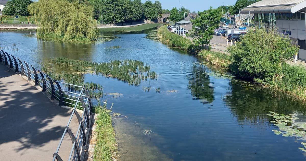 Maynooth City Guide